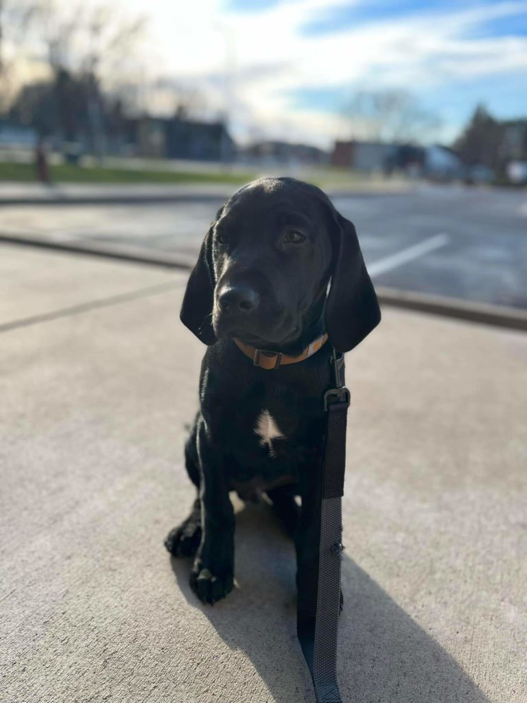 Faculty & Staff – Seton Catholic